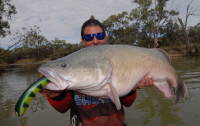 165mm Log Hopper – Rod Mackenzie – CodMac Lures